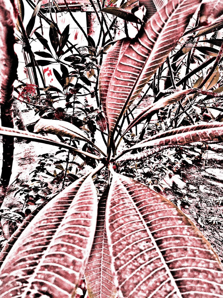 Verdant Vortex Art Print by Santhosh Ch – Fy!