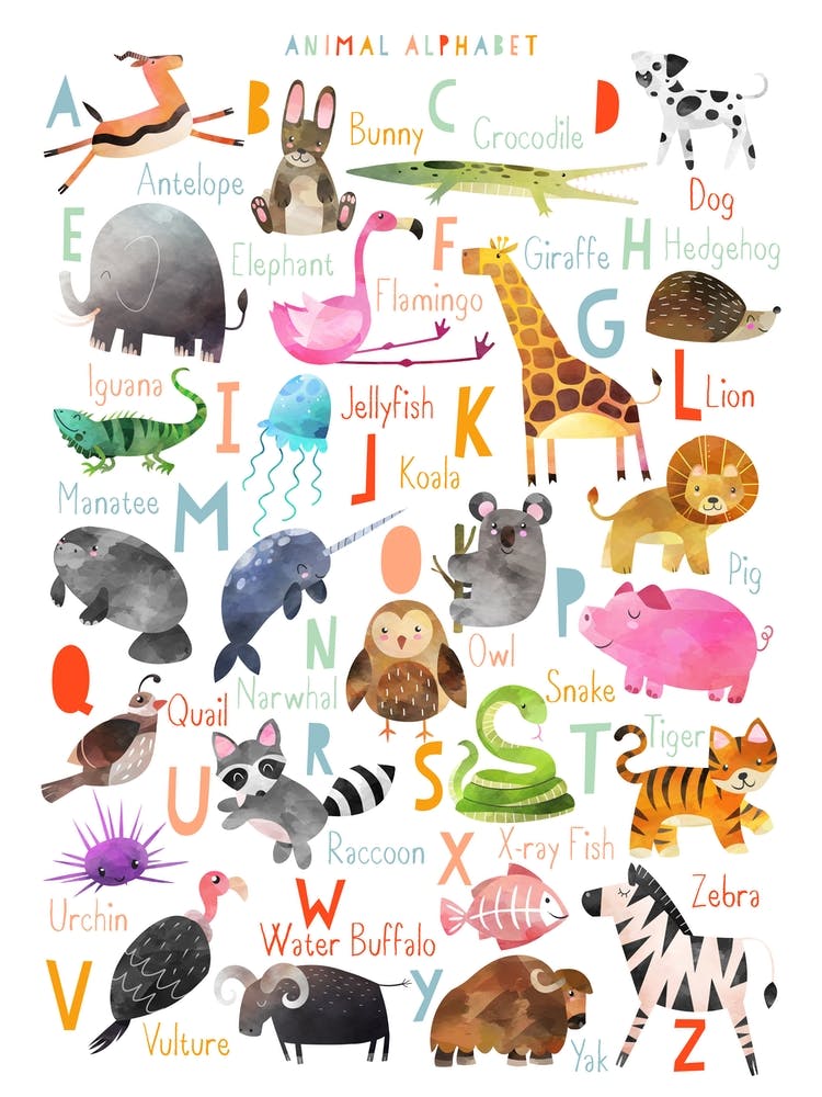 Animal Alphabet 2 Animal Art Print by Little Doodle – Fy!