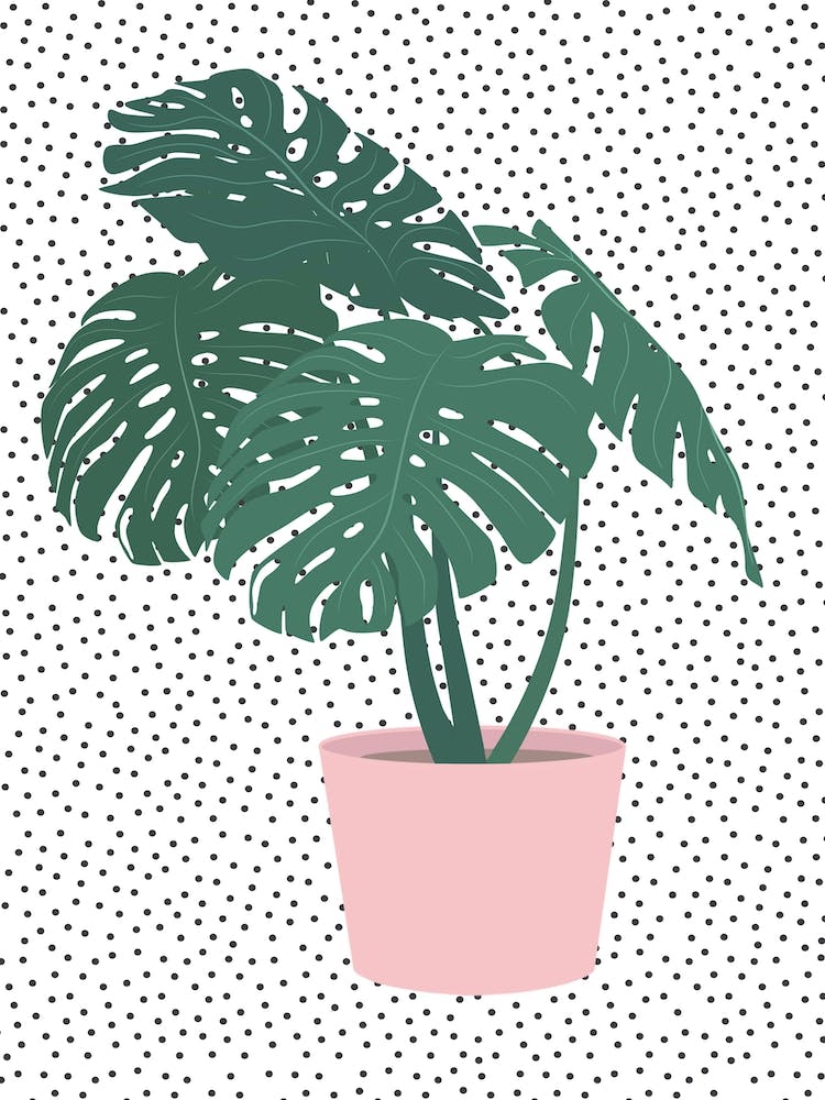 Polka Dot Monstera Deliciosa Art Print by Alaina Creates – Fy!