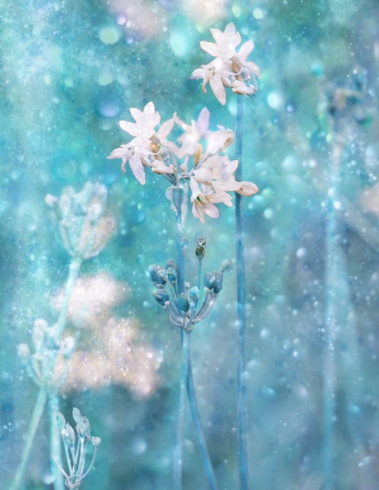 The Complex Magic of Nature Art Print by Delphine Devos – Fy!