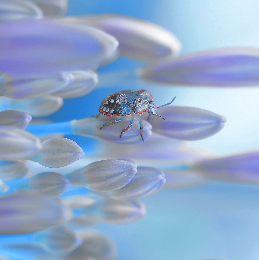 Destination blue planet... Art Print by Thierry Dufour – Fy!