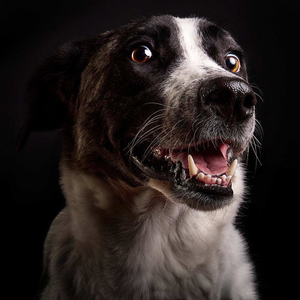 Alma dos Art Print by Javier Del Puerto Photography – Fy!