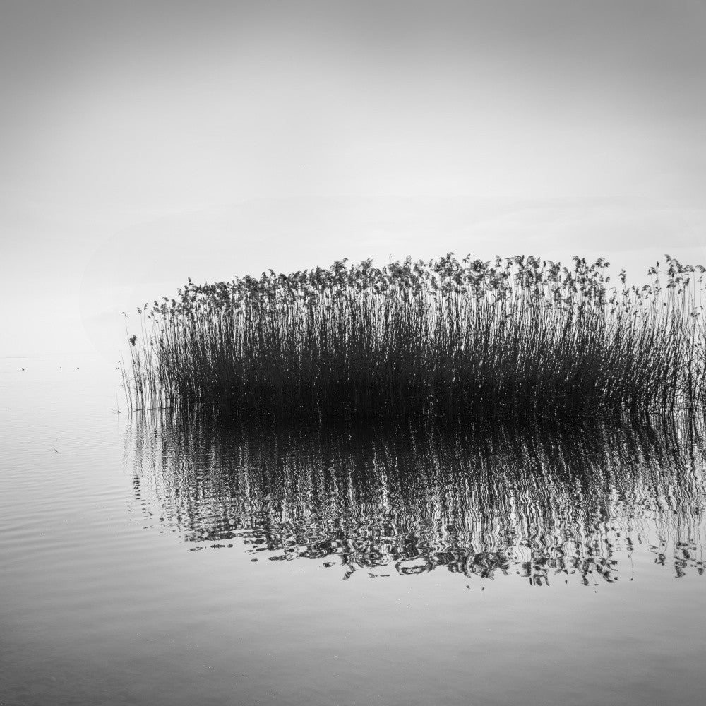 Lake Volvi 002 Art Print by George Digalakis – Fy!
