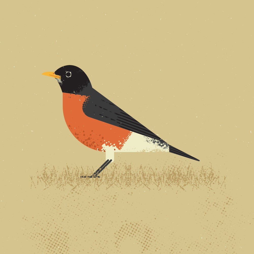 American Robin Art Print by Vision Grasp Art – Fy!