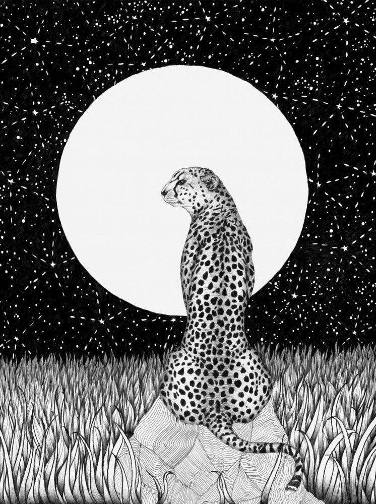 Cheetah Moon Large Art Print by Ec Mazur – Fy!