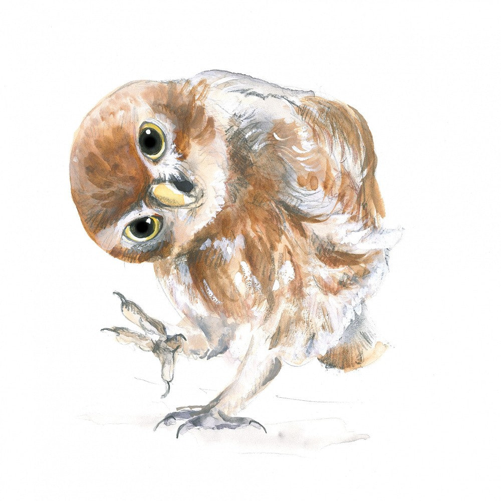 Curious Owl Art Print by Isabelle Brent – Fy!