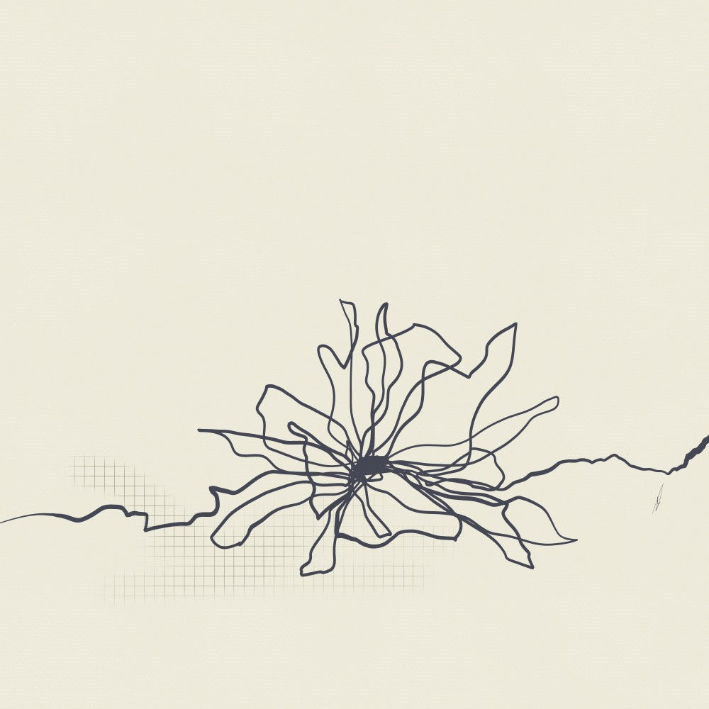 BLOOMING LINES Art Print by Ankie Kooi – Fy!