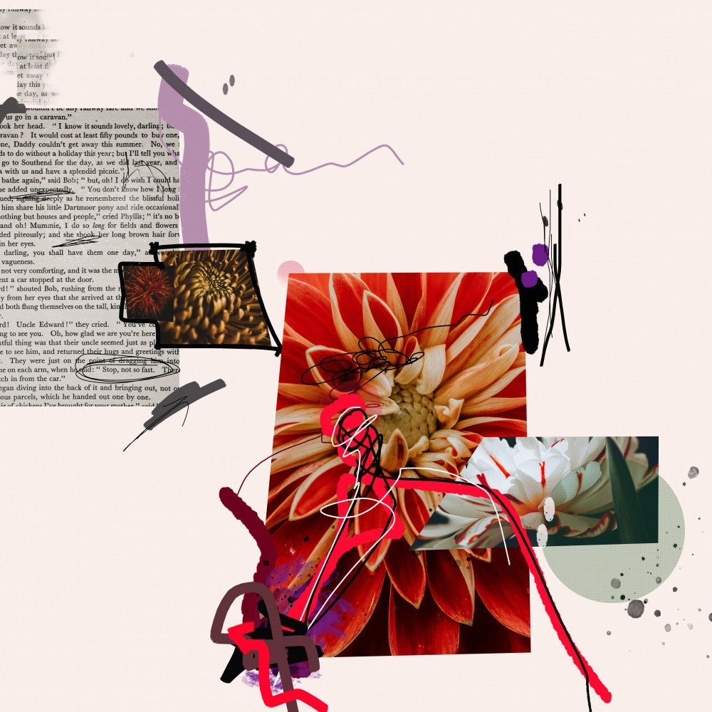 Stop No so Fast.png Art Print by Pelin Atilla – Fy!