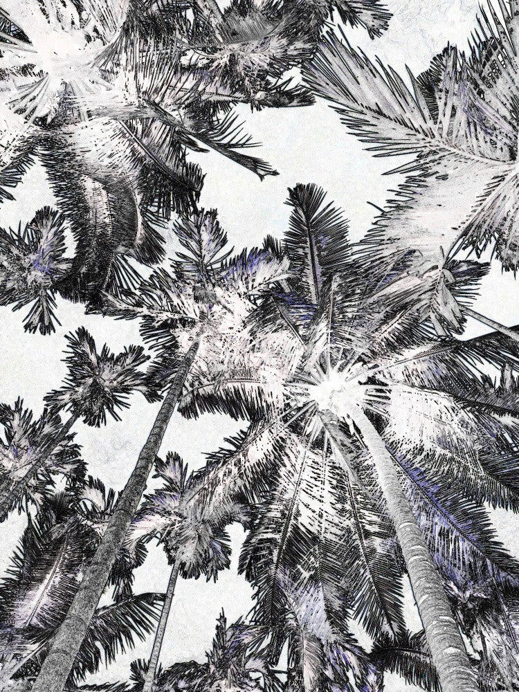 Palm Canopy Mirage Art Print by Santhosh Ch – Fy!