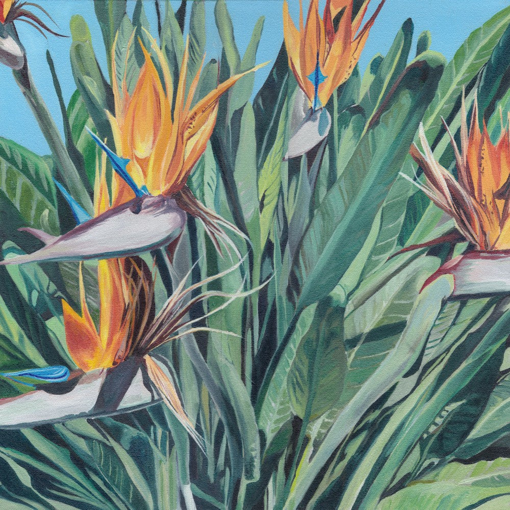 Stelitzia 2 By Viccy Wanliss Art Print by Viccy Wanliss – Fy!