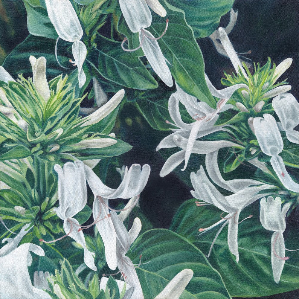 White Flowers By Viccy Wanliss Art Print by Viccy Wanliss – Fy!