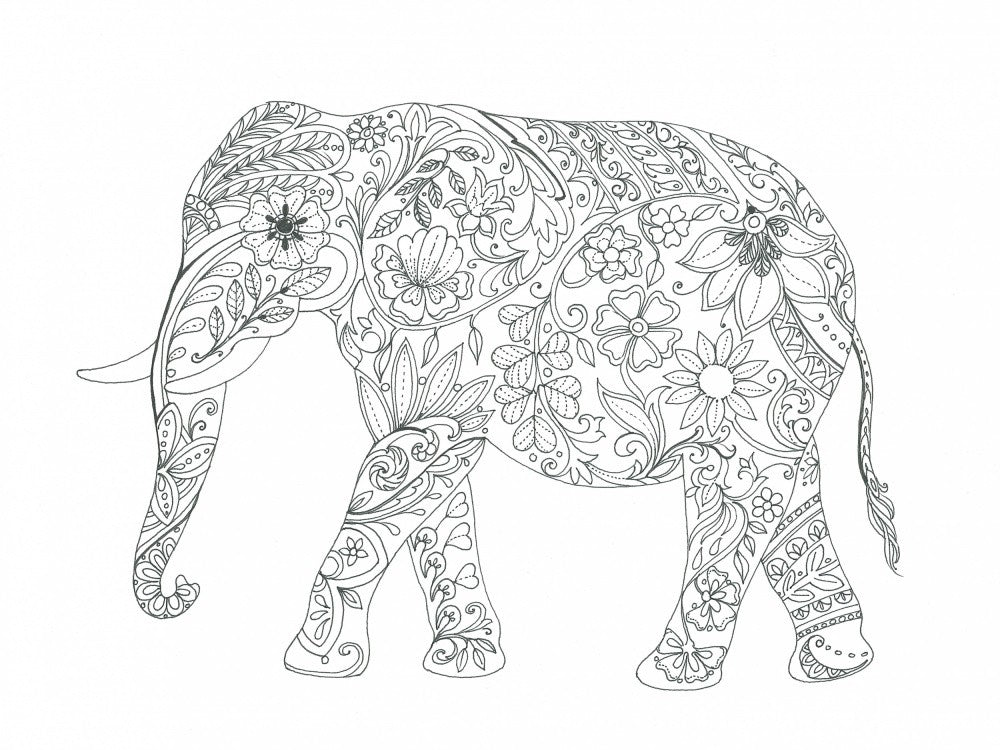 Floral Elephant Art Print by Isabelle Brent – Fy!