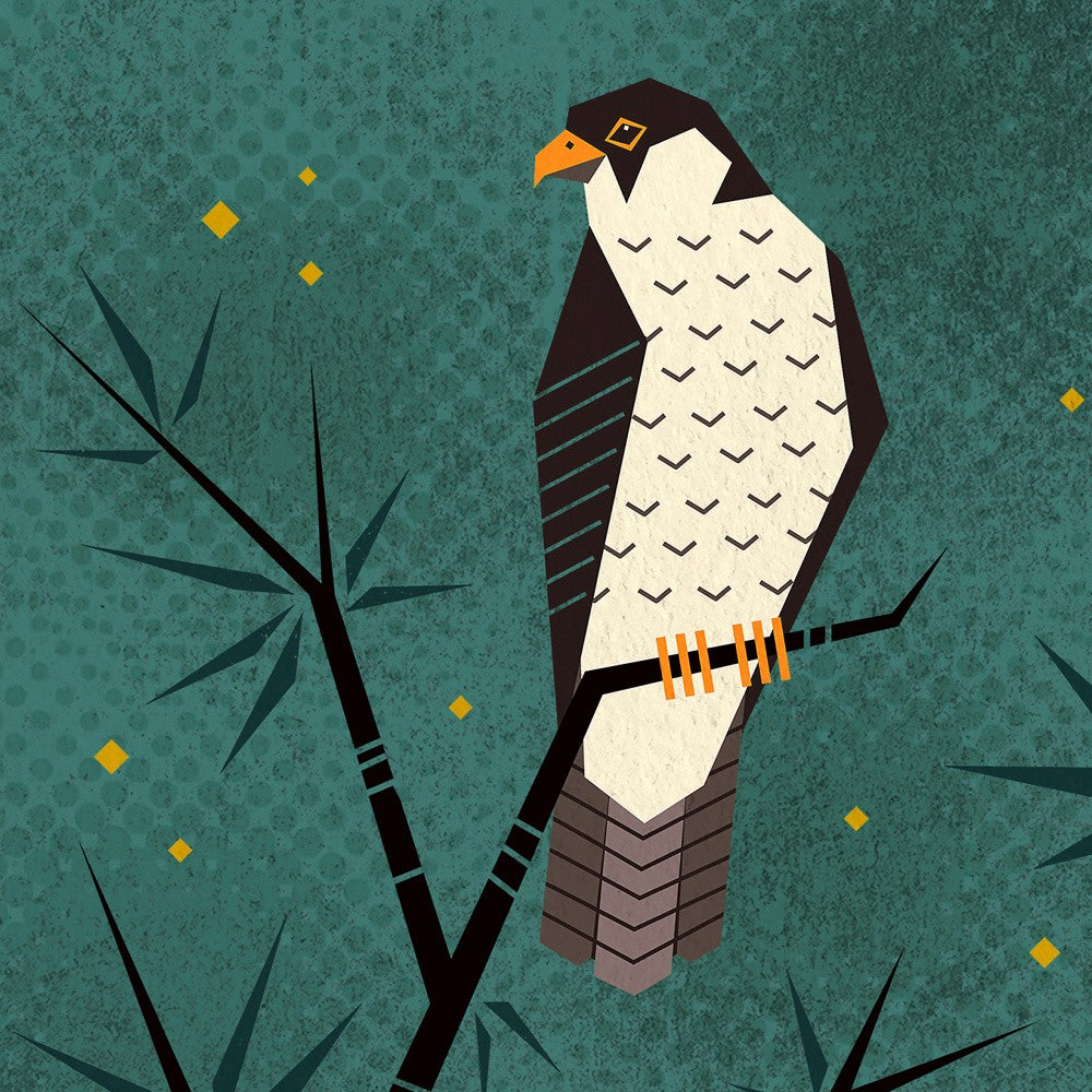 Bird Series Geometry Falcon Art Print by Rohan Dahotre – Fy!
