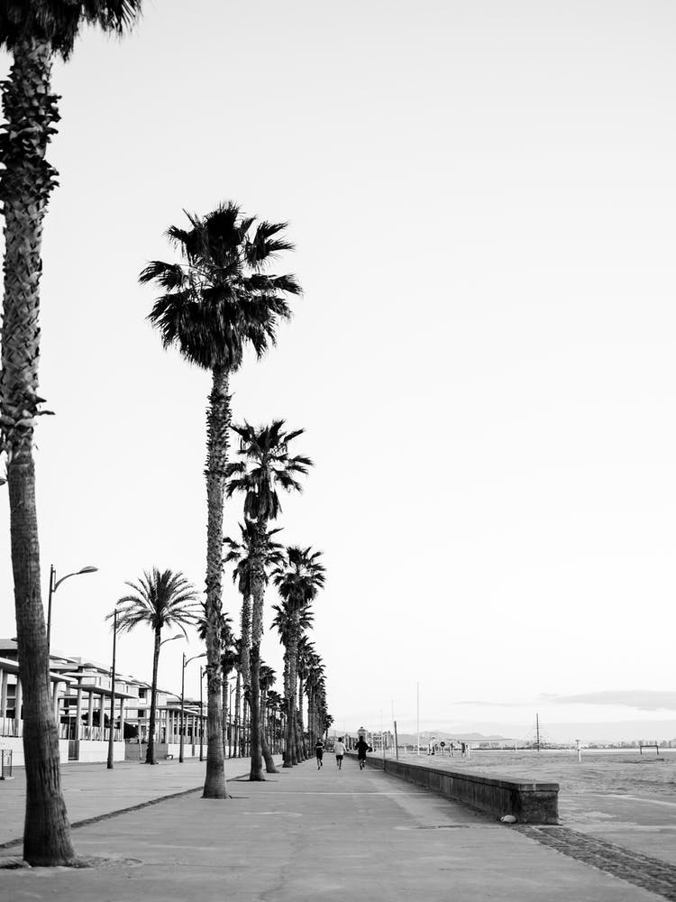 Boulevard Of Valencia Art Print by Raisa Zwart Photography – Fy!