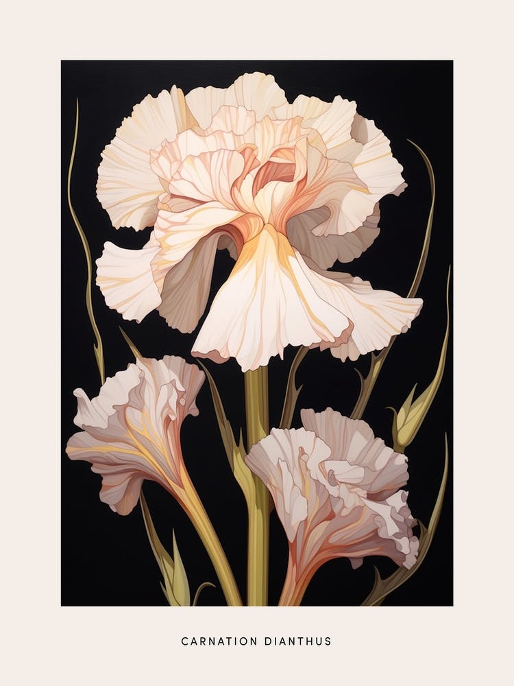 Flower Illustration Carnation Dianthus 6 Poster Art Print by Botanic ...