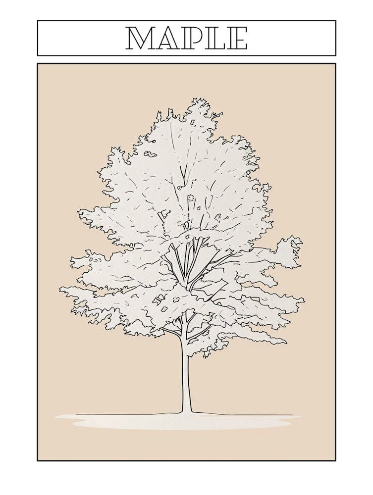 Maple Tree Minimalistic Drawing 2 Poster Art Print by Bough And Bloom ...