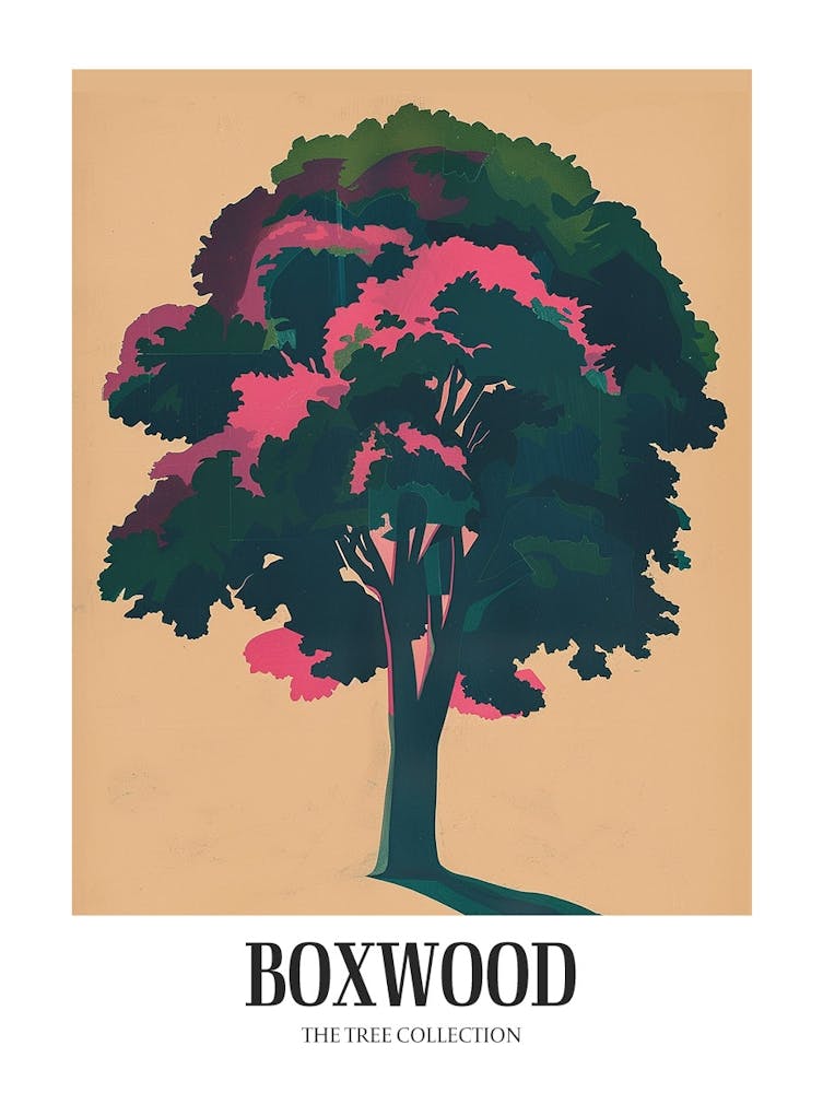Boxwood Tree Colourful Illustration 3 Poster Art Print by Bough And ...