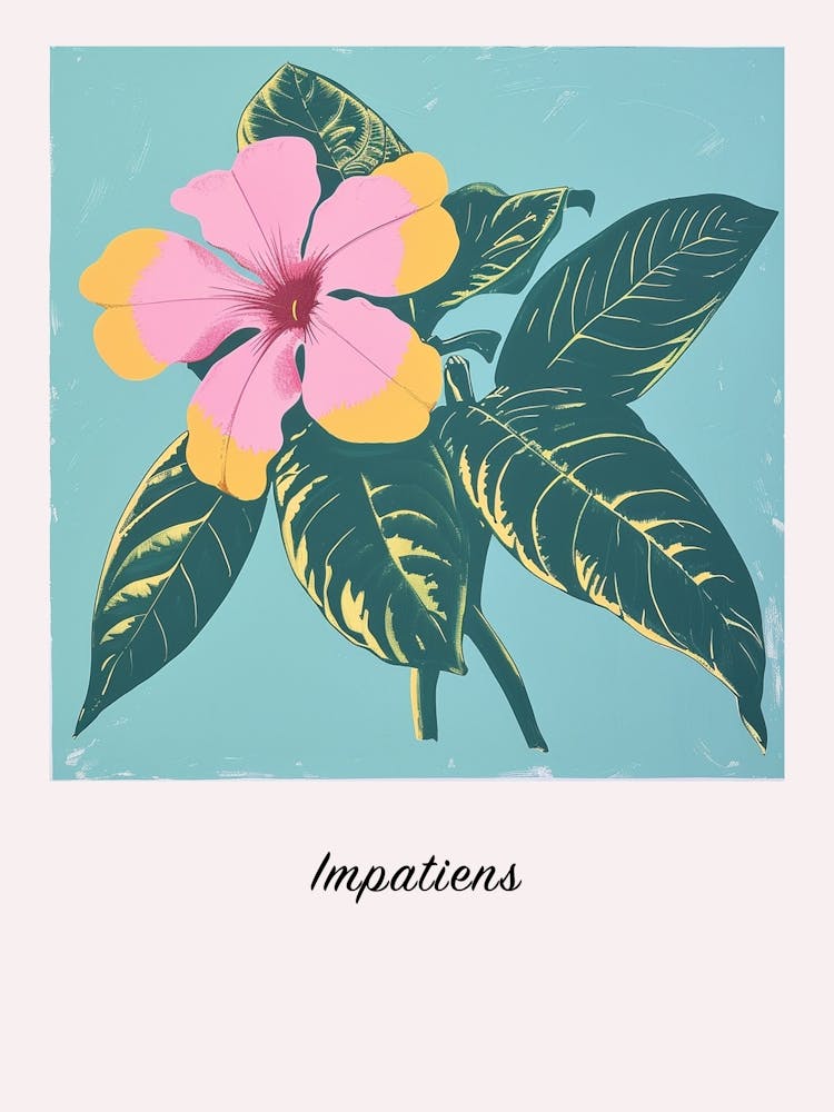 Impatiens 1 Square Flower Illustration Poster Art Print by Botanic ...
