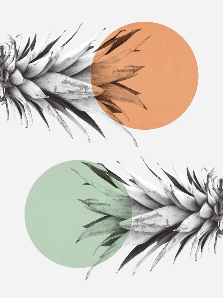 Pineapple collage 7 Art Print by Vitor Costa – Fy!