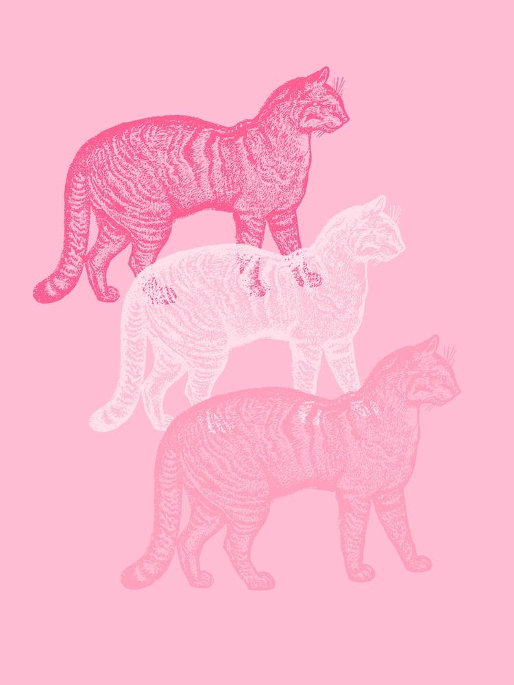 Retro Pink Cat Art Print by KelsBlaylockDesigns – Fy!