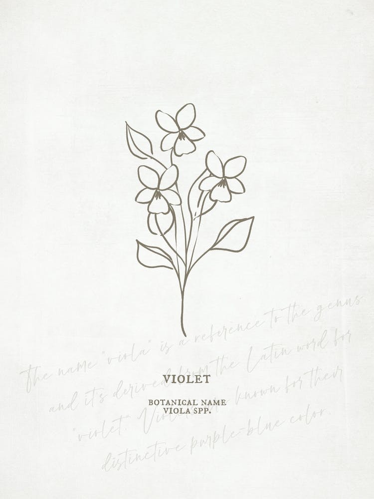 Violet Birth Flower | Antique Art Print by Jande Summer – Fy!