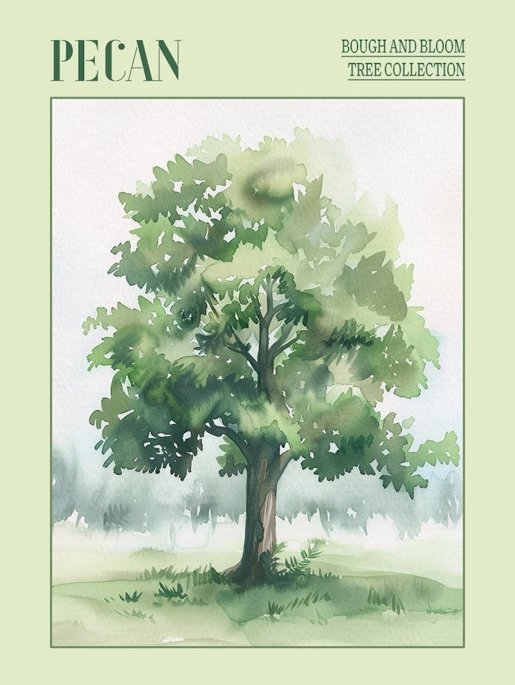 Pecan Tree Atmospheric Watercolour Painting 2 Poster Art Print by Bough ...