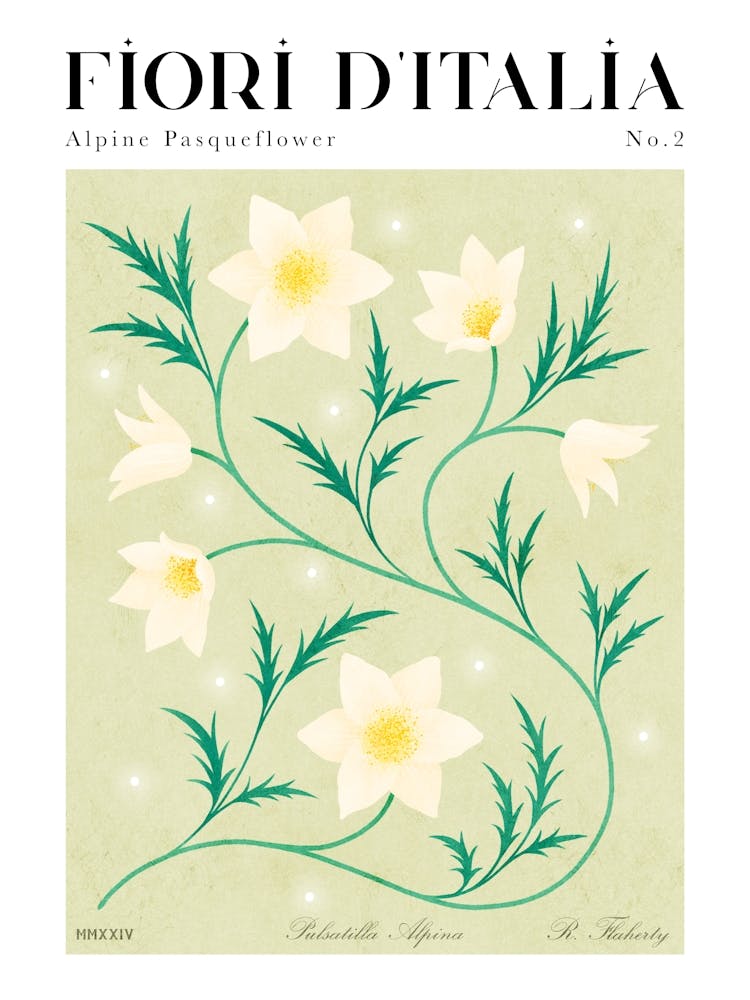 Italian Florals: Pulsatilla Alpina / Alpine Pasqueflower Art Print by ...