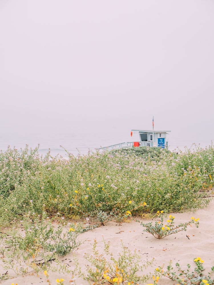 Malibu Lifeguard Tower Art Print by Pati Photography – Fy!