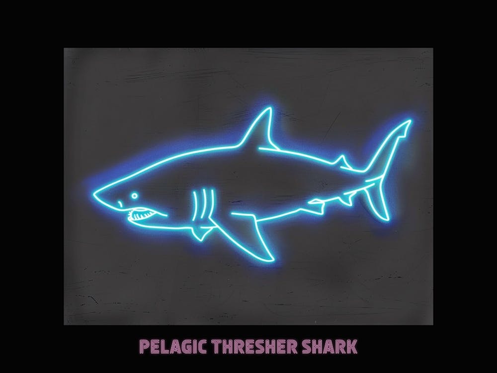 Neon Pink Blue Pelagic Thresher Shark 1 Poster Art Print by Energy of ...