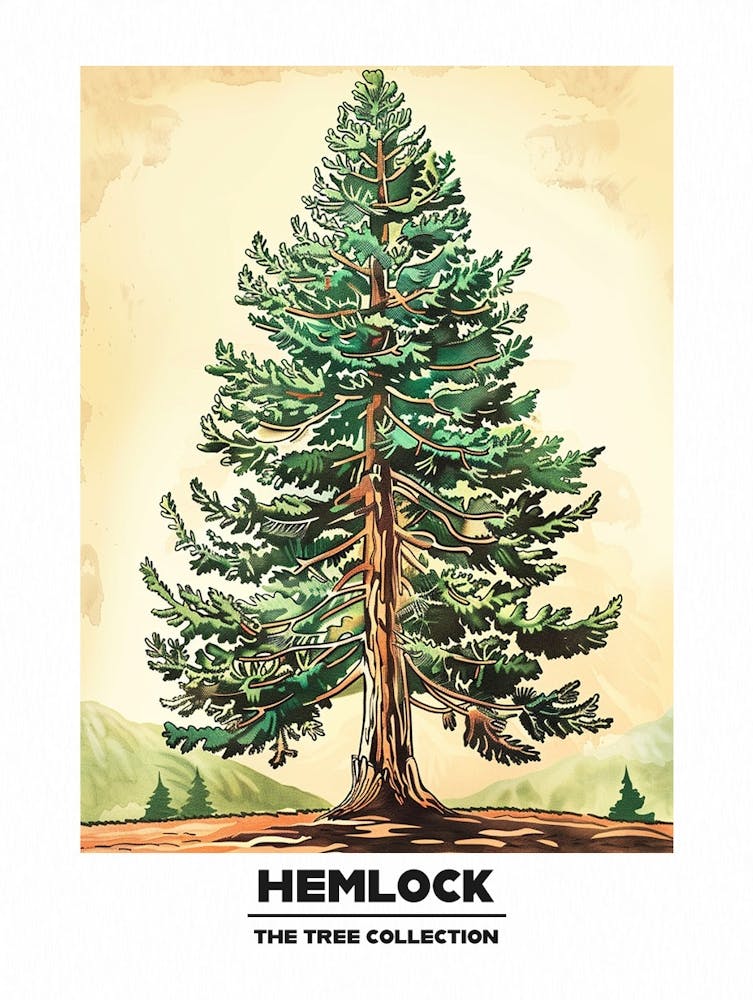 Hemlock Tree Storybook Illustration 2 Poster Art Print by Bough And ...