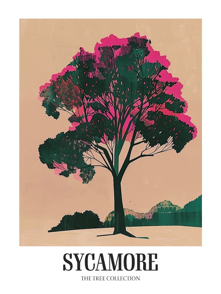 Sycamore Tree Colourful Illustration 3 Poster Art Print by Bough And ...