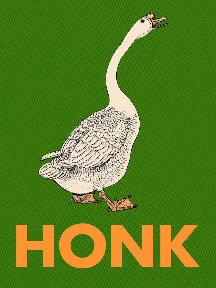 Honk Goose Art Print by stephen buckley – Fy!