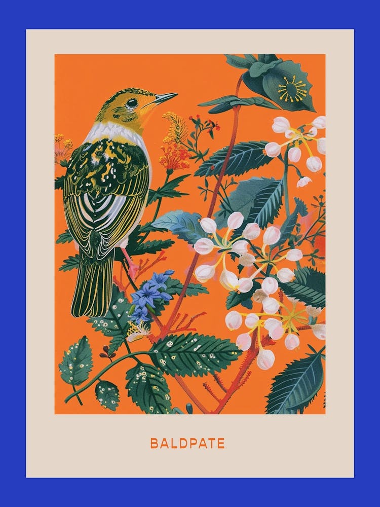 Spring Birds Poster Baldpate 1 Art Print by Feathered Muse – Fy!