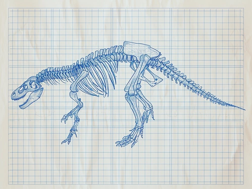 Dryosaurus Skeleton Hand Drawn Blueprint 1 Art Print by Dino Delights – Fy!