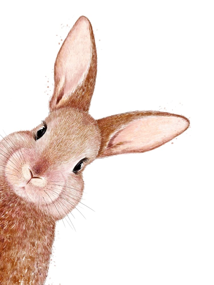 Peeping Rabbit Art Print by Valeriya Korenkova – Fy!