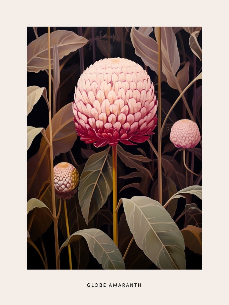 Flower Illustration Globe Amaranth 2 Poster Art Print by Botanic Studio ...