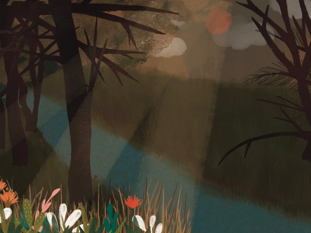 River Run Art Print by Rachael Powick – Fy!