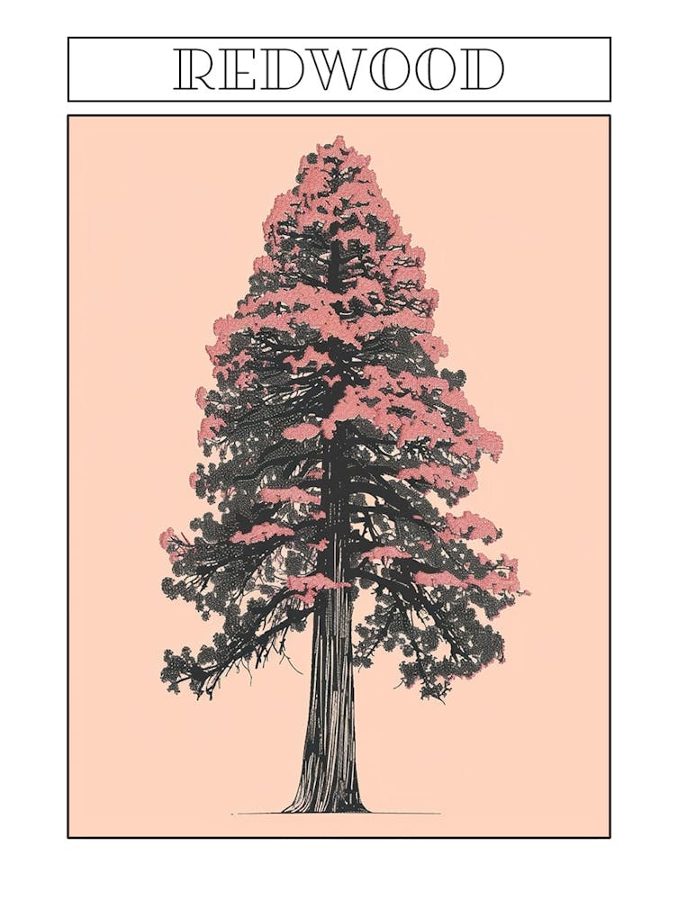 Redwood Tree Minimalistic Drawing 4 Poster Art Print by Bough And Bloom ...
