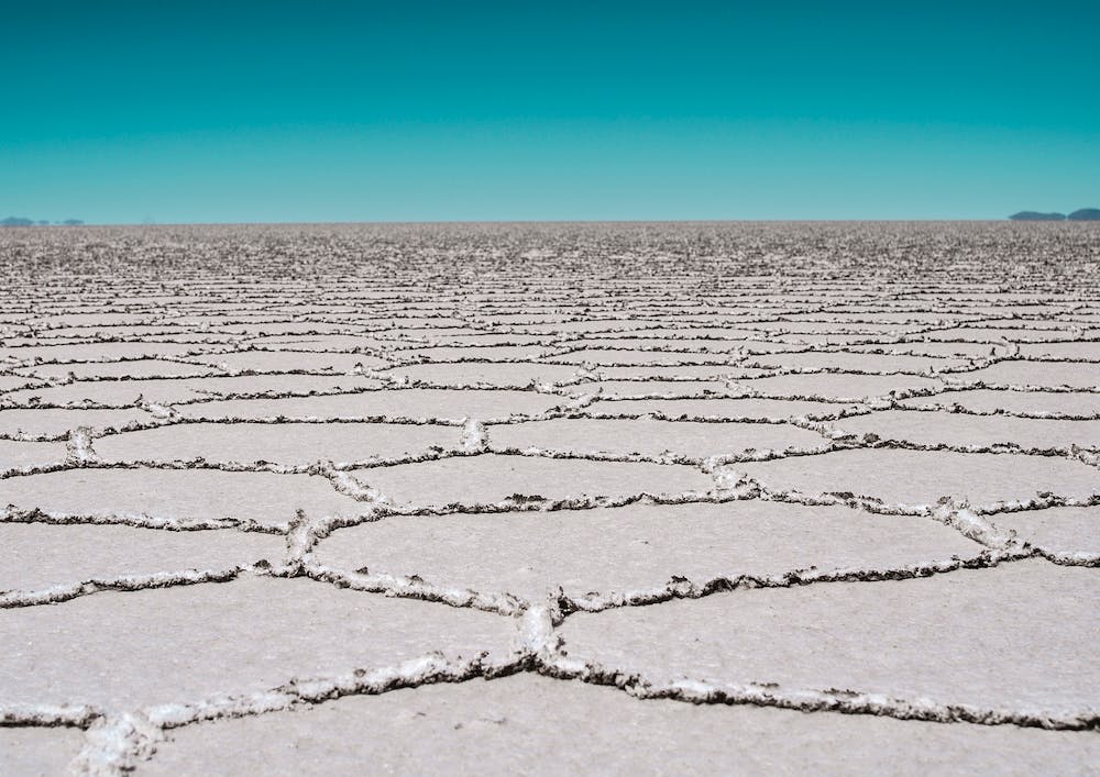 Salar Art Print by Anna Pontes – Fy!