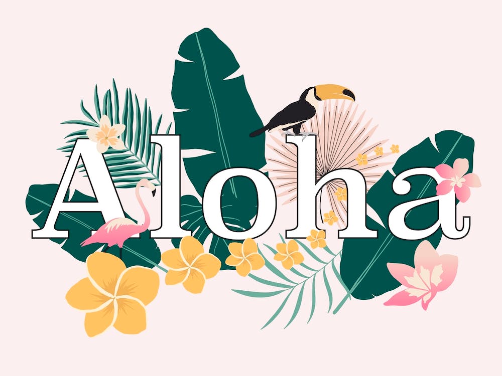 Aloha Tropical Bird Art Print by Lucky Number 5 Design – Fy!