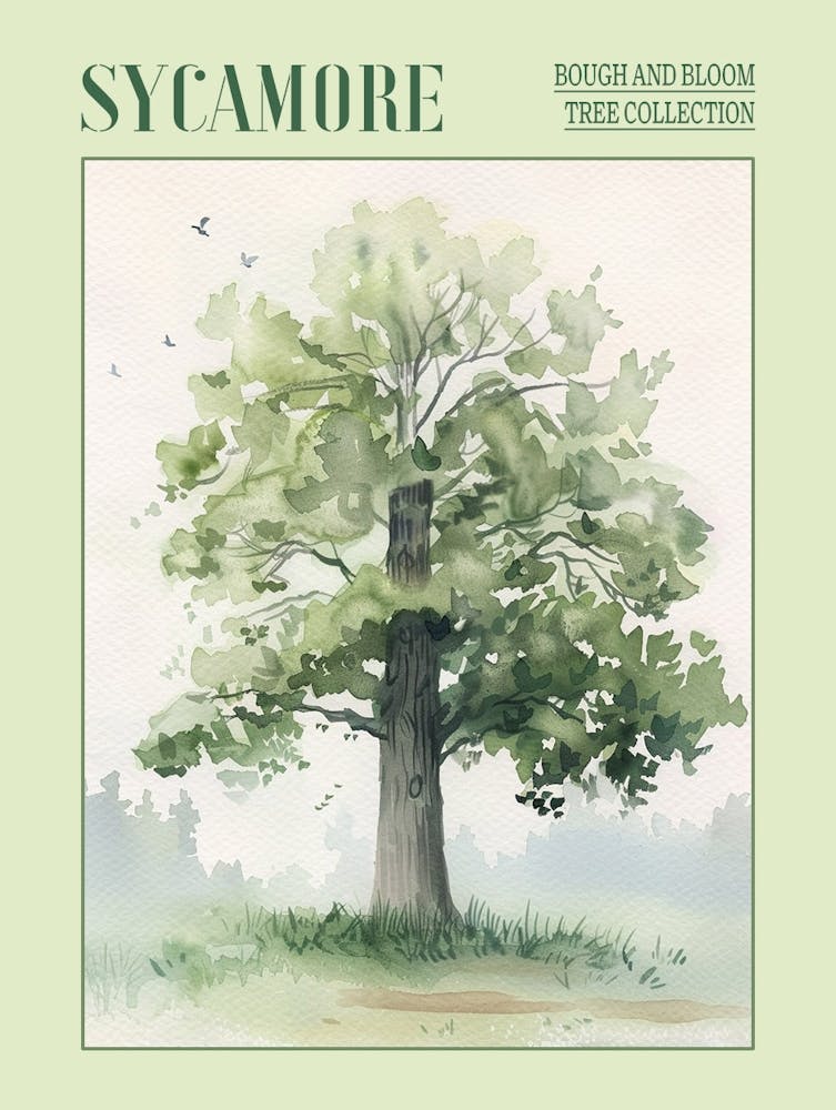 Sycamore Tree Atmospheric Watercolour Painting 1 Poster Art Print by ...