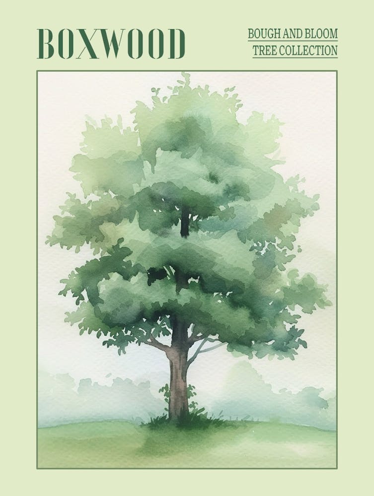 Boxwood Tree Atmospheric Watercolour Painting 1 Poster Art Print by ...