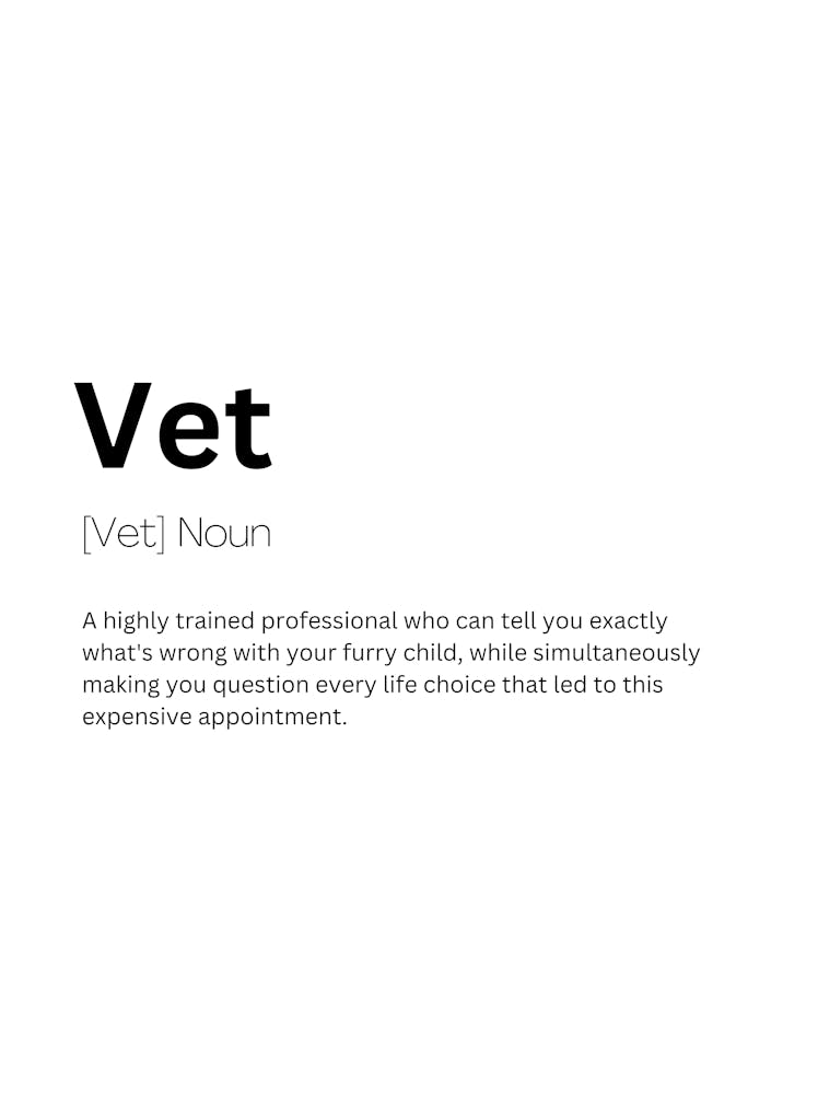 Vet Definition Meaning Art Print by Kaigozen – Fy!