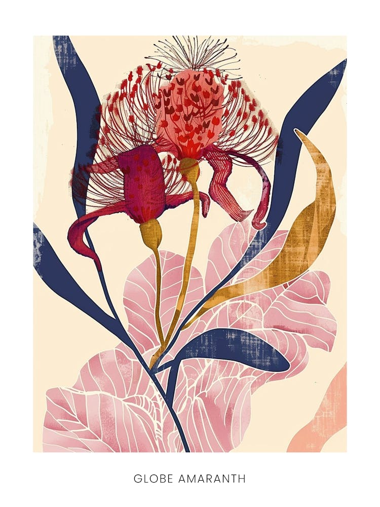 Colourful Flower Illustration Poster Globe Amaranth 3 Art Print by ...