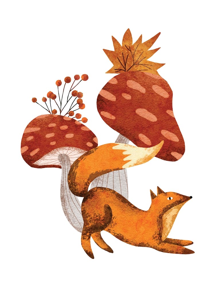 Wild fox with mushrooms Art Print by Tess_yelloofish – Fy!