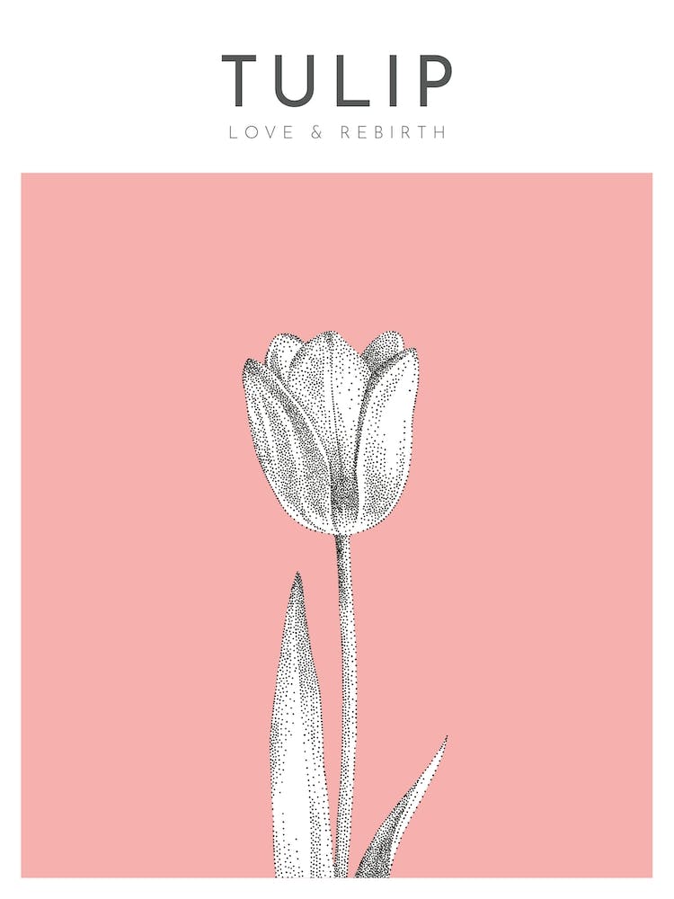 Tulip Print Modern Flower Poster Bamber Prints Art Print by Bamber ...