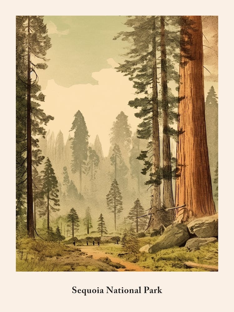 Sequoia National Park Art Print by Travel Poster Collection – Fy!