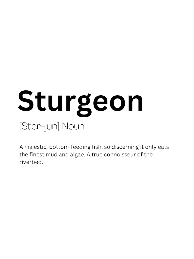 Sturgeon Definition Meaning Art Print by Kaigozen – Fy!
