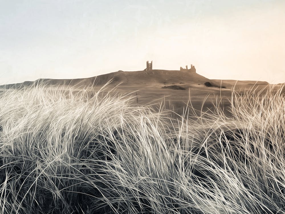 Grass And Dunstanburgh Castle Landscape Art Print by Paul J Bucknall – Fy!
