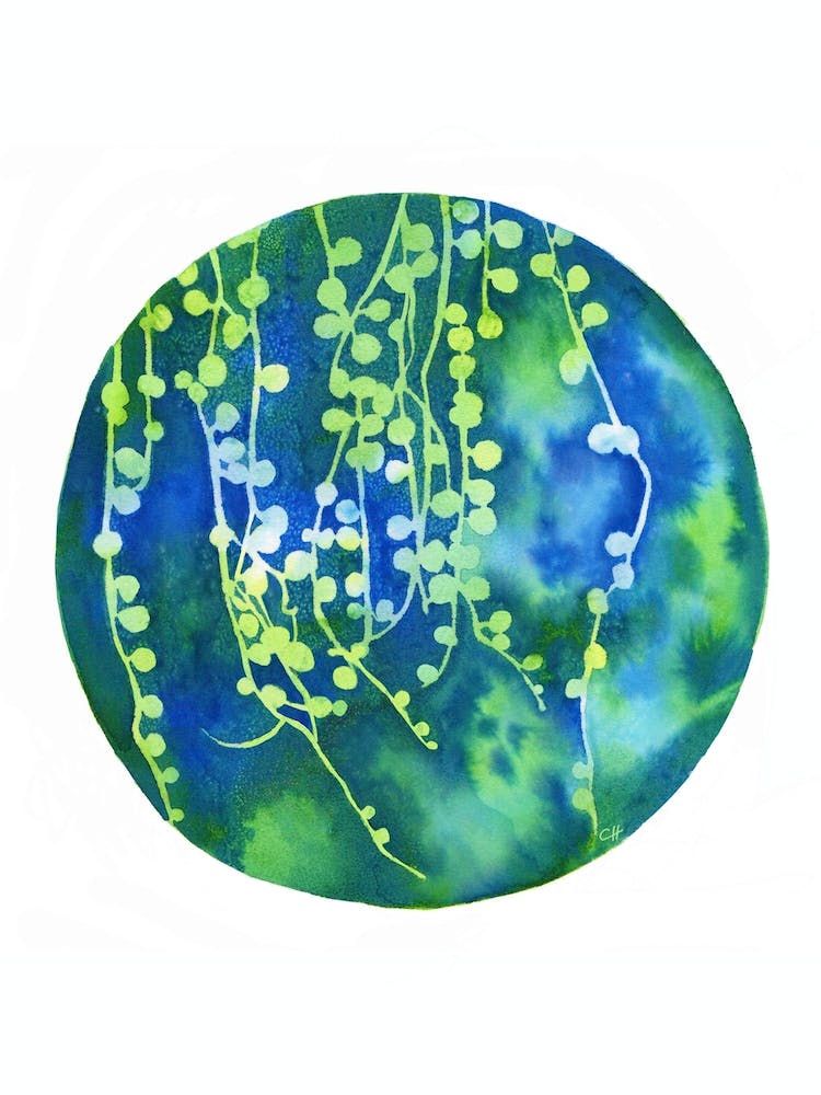 String Of Pearls Art Print by Charlotte Hogg Design – Fy!
